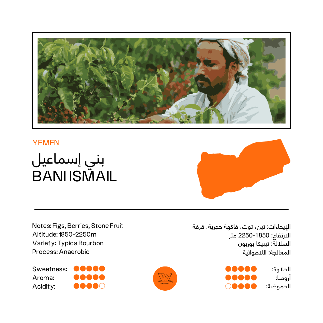 Bani Ismail | Yemen – 48 East Coffee Roasters